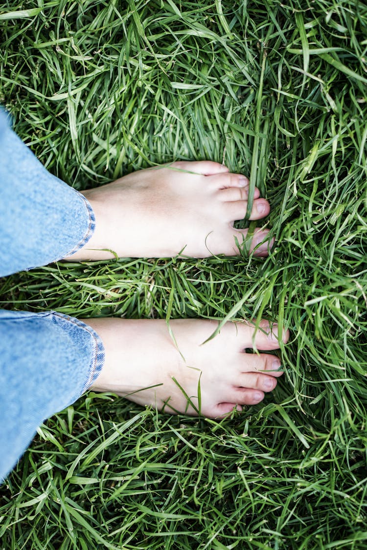 5 Easy Ways to Refresh and Renew for Spring - Everlasting April